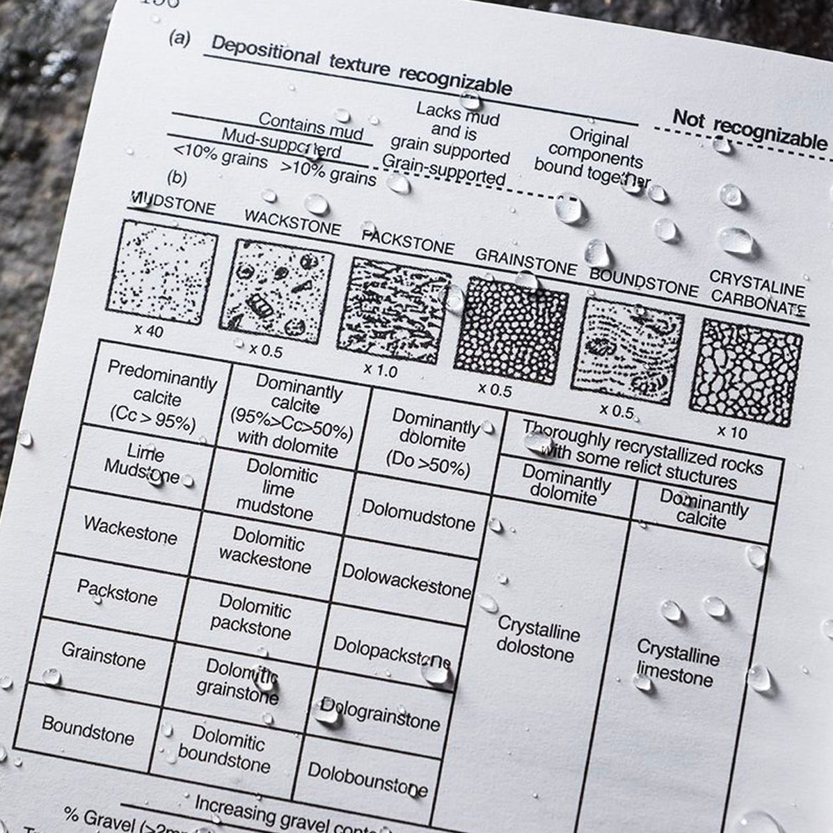 Rite In The Rain 540F Geological (Geologists, Geology) — Trig ...